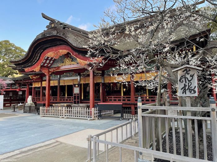 Dazaifu Tenmangu Shrine to Undergo Major Renovation | Fukuoka Now