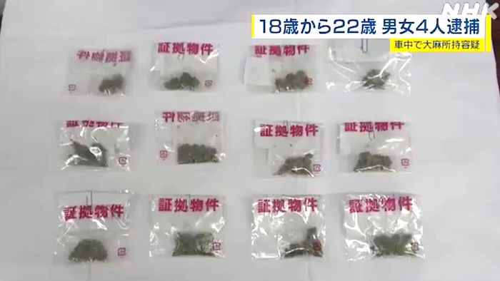 More Marijuana Busts in Fukuoka | Fukuoka Now