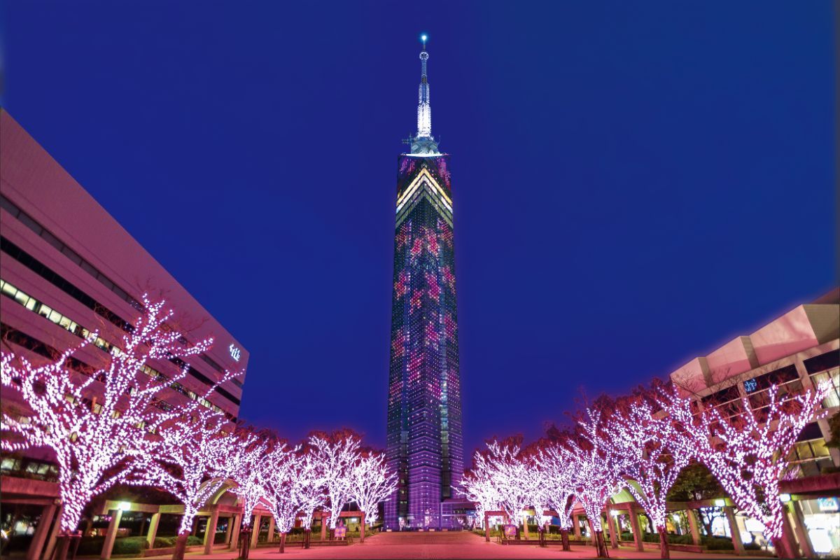 Fukuoka Tower Sakura Light up | Fukuoka Now