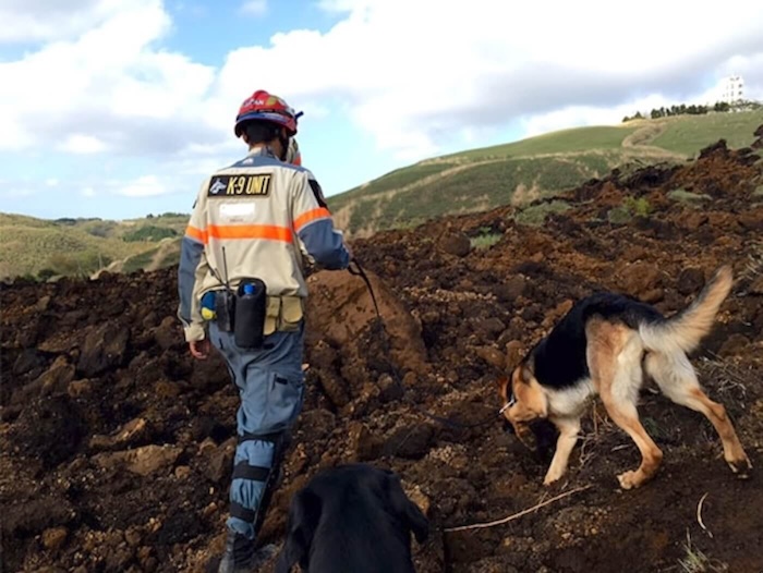 Miyama City Signs Agreements for Pet Rescue and Disaster Search Dogs ...