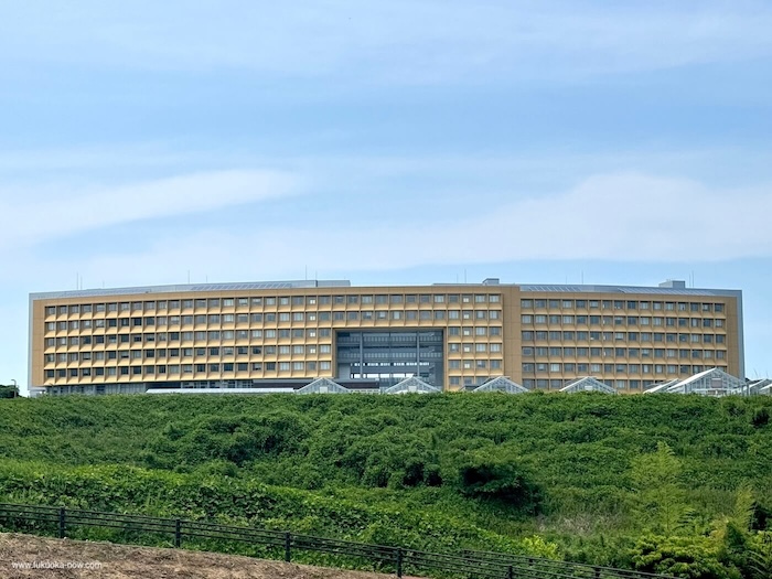Kyushu University Law School to Relocate to Ito Campus in 2027 ...