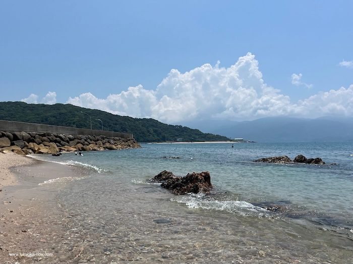 Fukuoka Prefecture Allocates Budget for Seismic and Tsunami Risk Survey ...