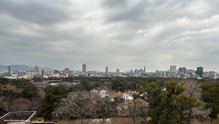 Elder Abuse Reports in Fukuoka Reach Record High | Fukuoka Now