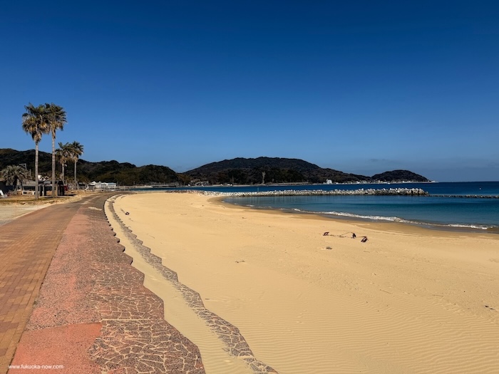 Water Quality Inspections Begin At Fukuoka Beaches | Fukuoka Now