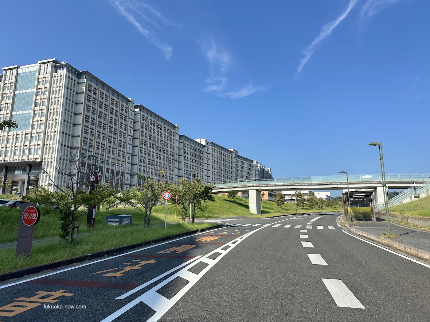 Kyushu University, Glasgow Launch Joint Program | Fukuoka Now