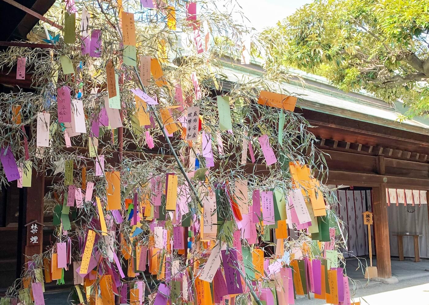 Tanabata Festival at Hakozaki Shrine | Fukuoka Now
